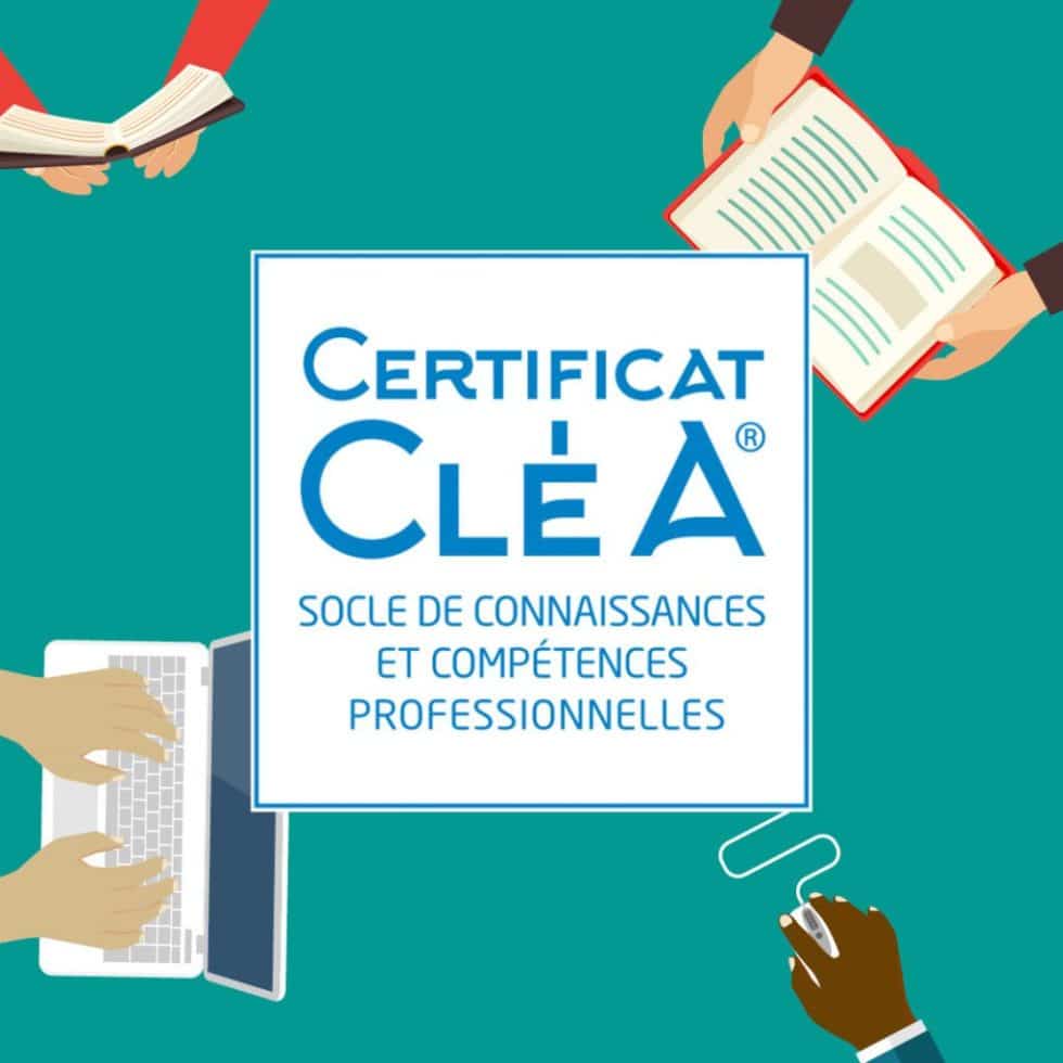 DISPOSITIFS CLÉA | Transitions Pro Martinique